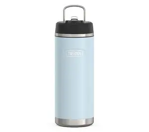 THERMOS Icon 32 Oz Stainless Steel Water Bottle W/ Straw Lid - Silver