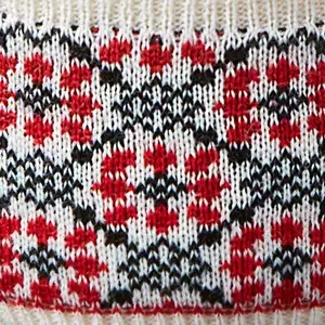 TAG Winter Sketches Flower Sweater Mug Red Blue Bone China