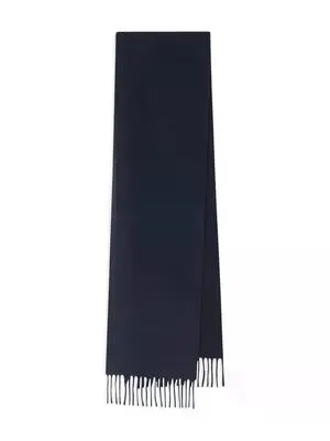 Max Mara Fringed Wool Scarf - Blue