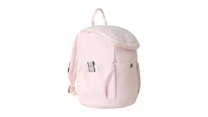 The North Face Mini Explorer Backpack - Pale Blossom/white