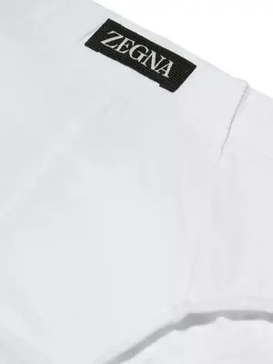 Zegna Logo-tag Briefs