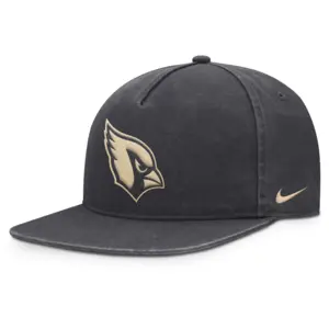 Nike Arizona Cardinals Pro Nfl Adjustable Hat - Grey