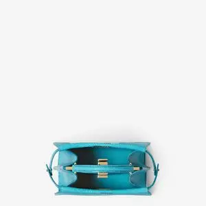 Fendi Peekaboo Iseeu Petite