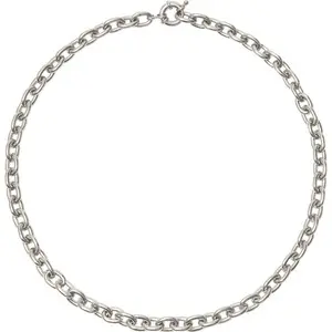 Burberry Charm Chain Necklace - Silver