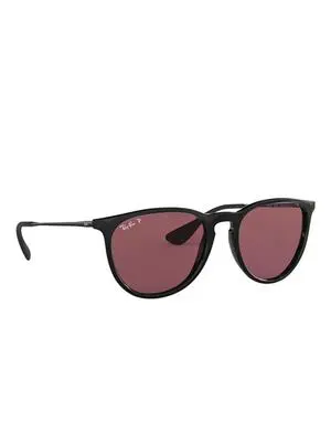 Ray-ban Erika Round-frame Sunglasses