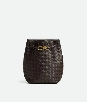 Bottega Veneta Andiamo Bucket Bag - Fondant
