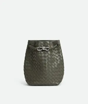 Bottega Veneta Small Andiamo Bucket - Pickle