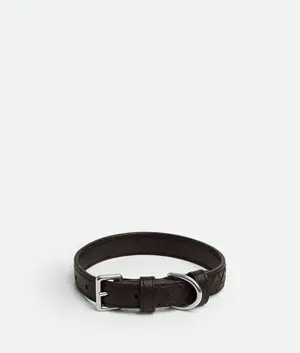 BOTTEGA  VENETA Small Intrecciato Dog Collar - Fondant