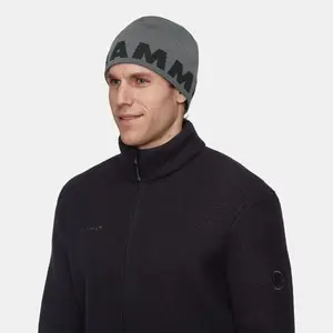 MAMMUT Logo Beanie - Steel/black