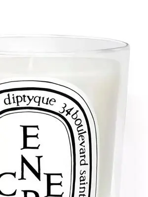 DIPTYQUE Encre Classic-model Candle
