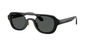 Giorgio Armani Sunglass Ar8247 - Dark Grey