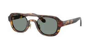 Giorgio Armani Sunglass Ar8247 - Grey