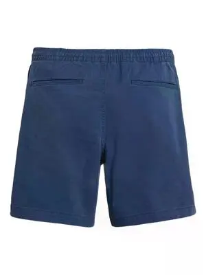 Polo Ralph Lauren Embroidered Shorts - Blue