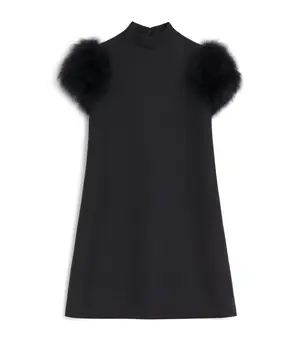 Valentino Garavani Crepe Feather-trim Mini Dress