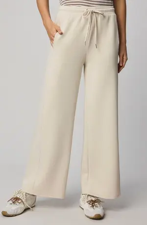 Splendid Wide Leg Pants For Women