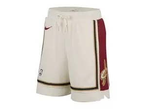 Nike Lebron James Drifit Nba Shorts