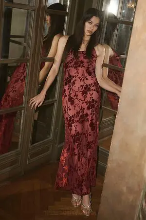 HUTCH Stretch Burnout Velvet Maxi Dress