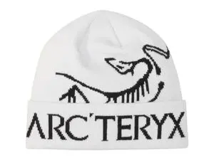 Arc'teryx Bird Word Toque Beanie - Orca