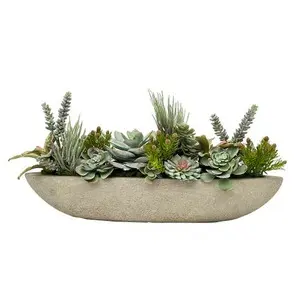 WINWARD HOME Succulent In Boat - Greyish Green
