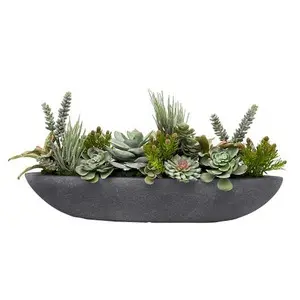 WINWARD HOME Succulent In Boat Washed Grey/green