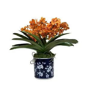 WINWARD HOME Vanda Orchid In Blossom Pot - Gold