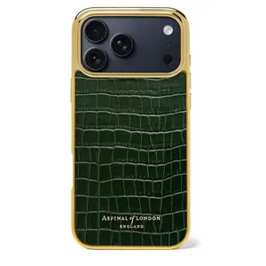 ASPINAL OF LONDON Iphone 17 Pro Max Case In Pebble - Green