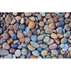 KAPLAN EARLY LEARNING COMPANY Stem Play Matvibrant Real Image Mat