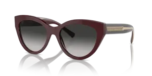 Tiffany & Co. Tf4220 Sunglasses
