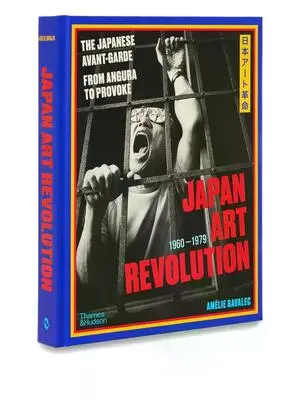 THAMES E HUDSON Japan Art Revolution: The Japanese Avant-garde Book
