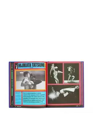 THAMES E HUDSON Japan Art Revolution: The Japanese Avant-garde Book