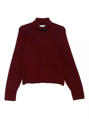 Laneus Long Sleeve Sweaters For Women