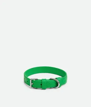 BOTTEGA  VENETA Small Intrecciato Dog Collar - Parakeet
