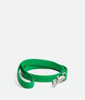 BOTTEGA  VENETA Small Intrecciato Dog Leash - Parakeet