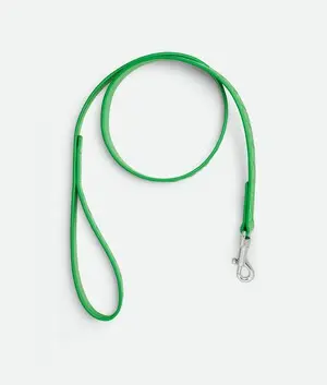 Bottega Veneta Medium Intrecciato Dog Leash