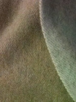 Prada Embroidered Logo Fringe Scarf - Neutrals