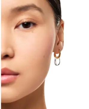 ANA LUISA Kayla Clear Drop Earrings