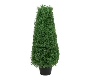 NORTHLIGHT 30' Boxwood Cone Topiary Tree In Ro Nd Pot - One-color