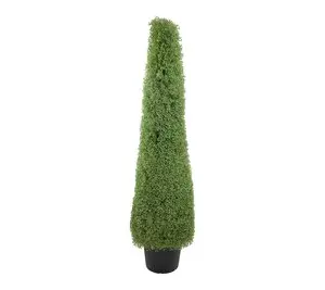 NORTHLIGHT 5' Boxwood Cone Topiary Tree In Roun Pot - One-color