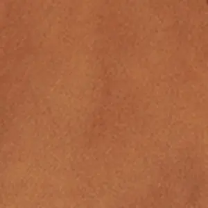 Loewe Lambskin Shearling-lined Jacket