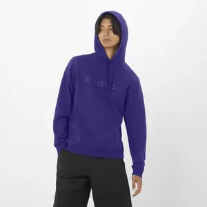 SALOMON Salomon Logo Hoodie Blue/white