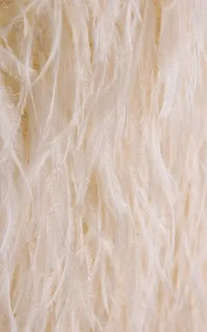 TWP Feather And Bead-embellished Silk Mini Dress