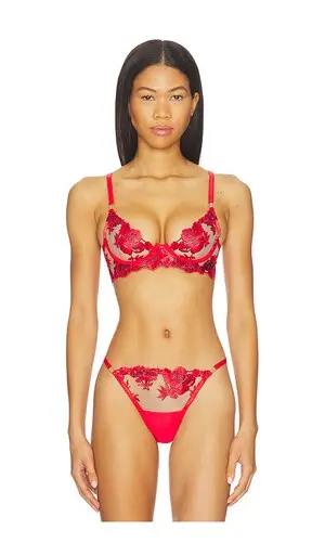 Bluebella Lavanya Wired Bra In Red - Red  Black & Sheer