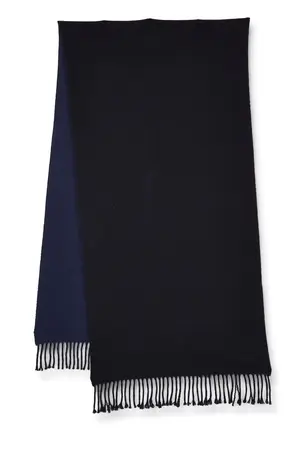 Hermès Blue Recto-verso Scarf