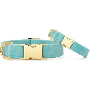 THE FOGGY DOG Velveteen Dog Collar - Blue