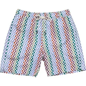 SNAPPER ROCK 4 Way Stretch Swim Short - Block Party