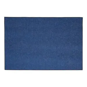 KAPLAN EARLY LEARNING COMPANY Waters Outdoor/indoor Carpets - Blue