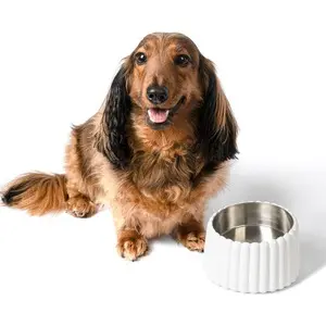 THE LICKER STORE Ripple Ridge Small/medium Slanted Concrete And Stainless Steel Bowl 16oz Pet Feeder - White
