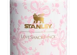 STANLEY 1913 X Loveshackfancy Holiday All Day Slim 34oz Bottle - Coquette Bow Chantilly