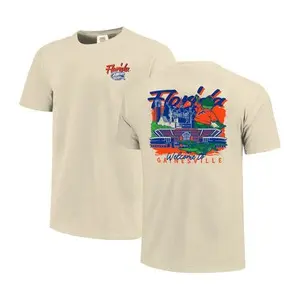 IMAGE ONE Florida Gators Comfort Colors Hand-drawn Campus Stack T-shirt
