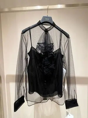 Dior Sheer Top